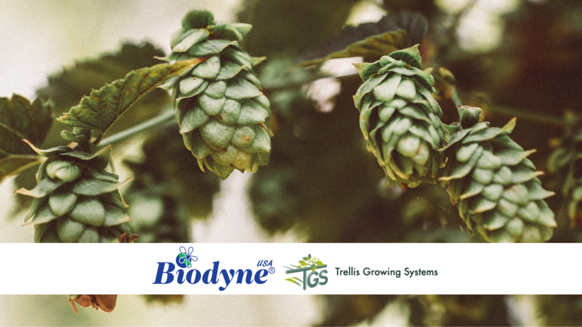 Biodyne USA and Trellis Growing Systems announce joint venture: Trellis ...